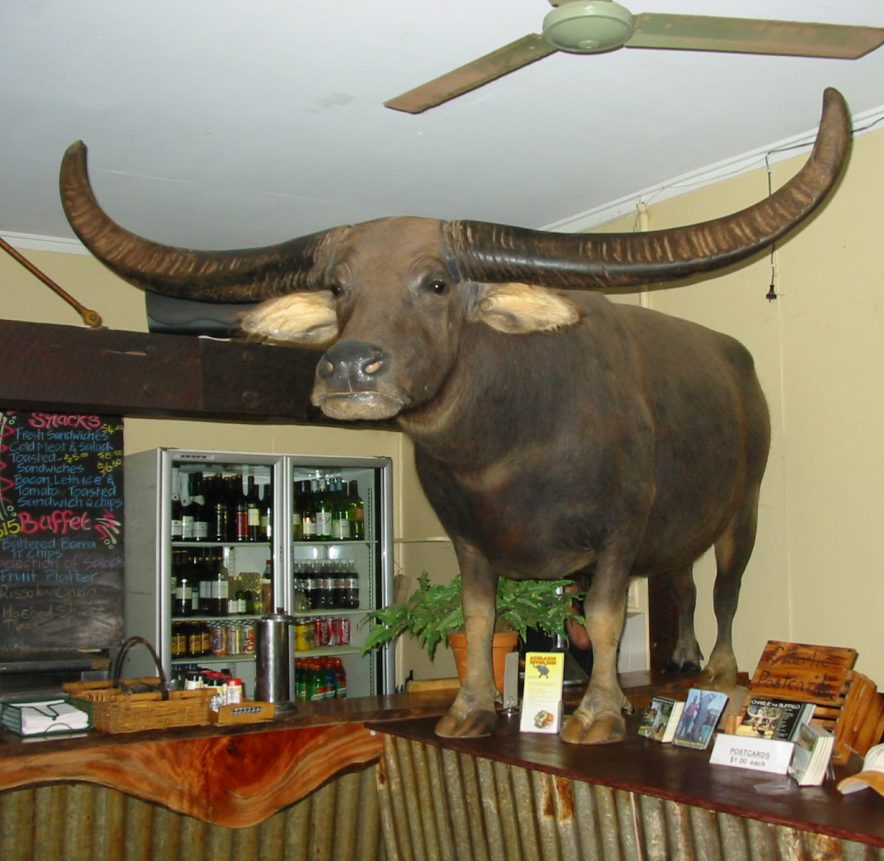 Home - Adelaide River Inn Tourist Park