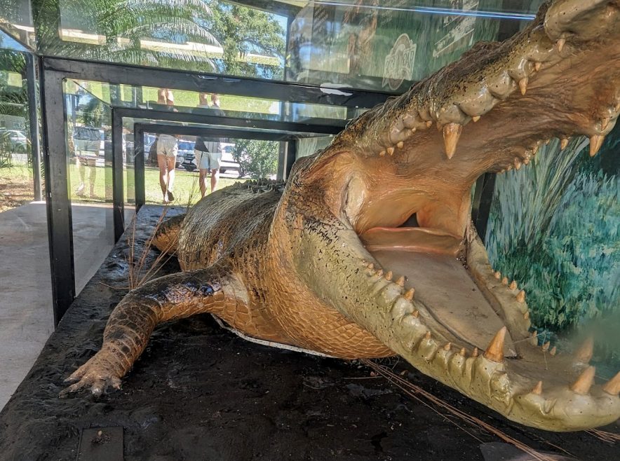 Home - Adelaide River Inn Tourist Park